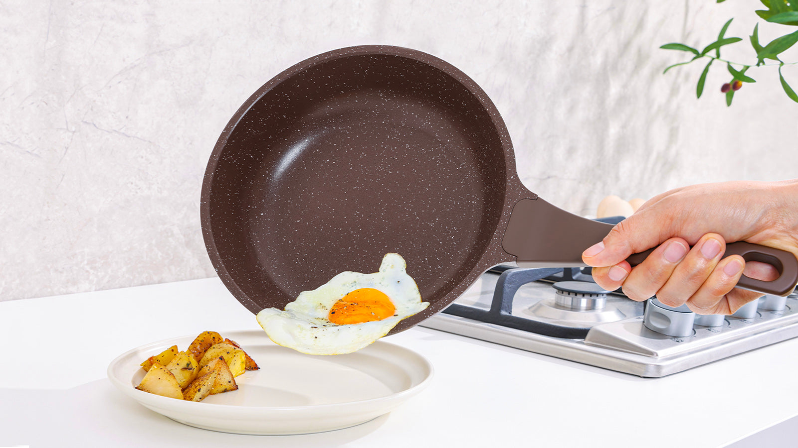 Nonstick Coatings Explained: Teflon vs. Ceramic | Sensarte – Sensarte ...